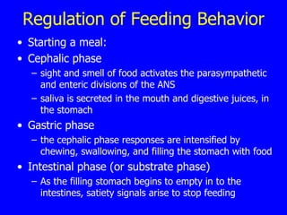 Motivation | PPT | Endocrine and Metabolic Diseases | Diseases and ...