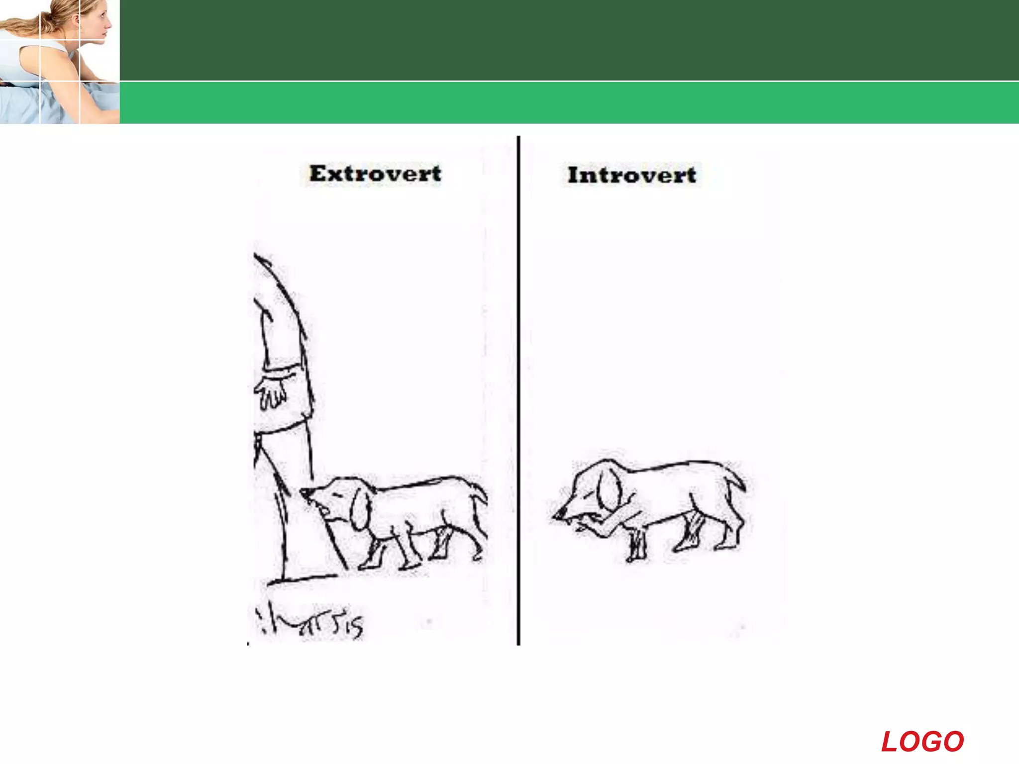 Tourist Behavior | PDF