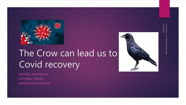 The Crow can lead us to Covid-19 Recovery | PPT