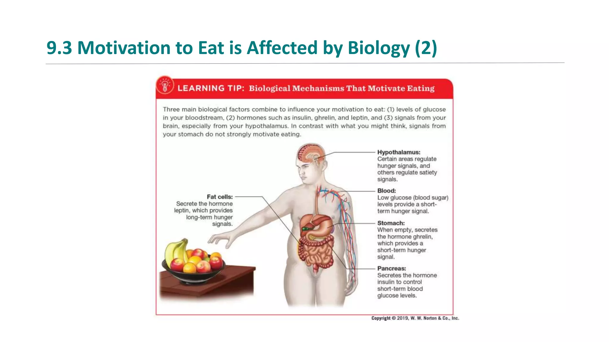 Motivation and Emotions | PPT