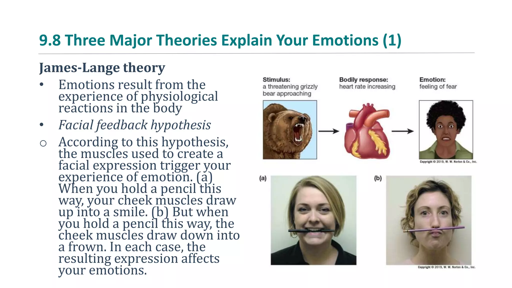 Motivation and Emotions | PPT