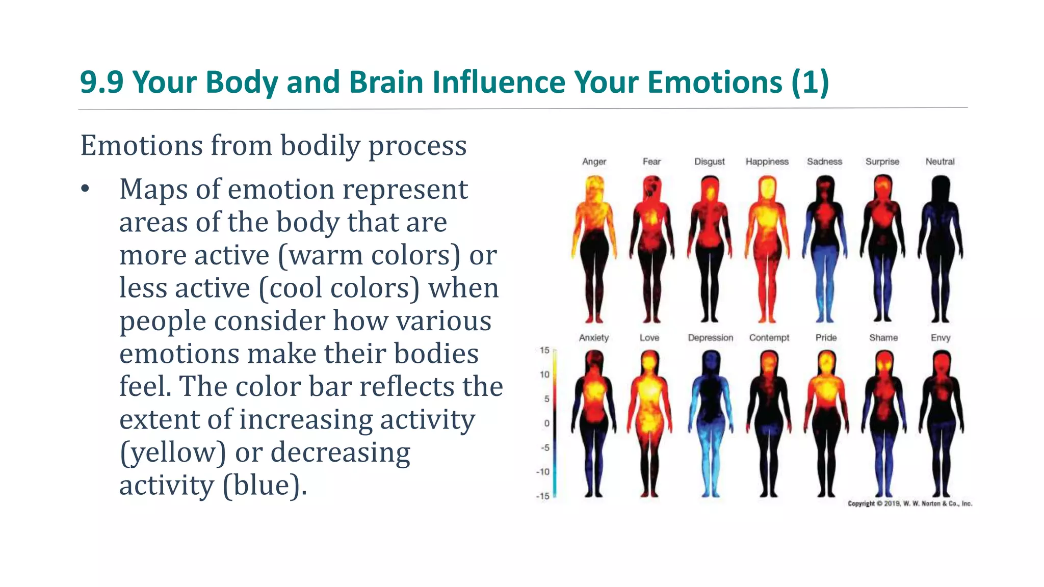 Motivation and Emotions | PPT