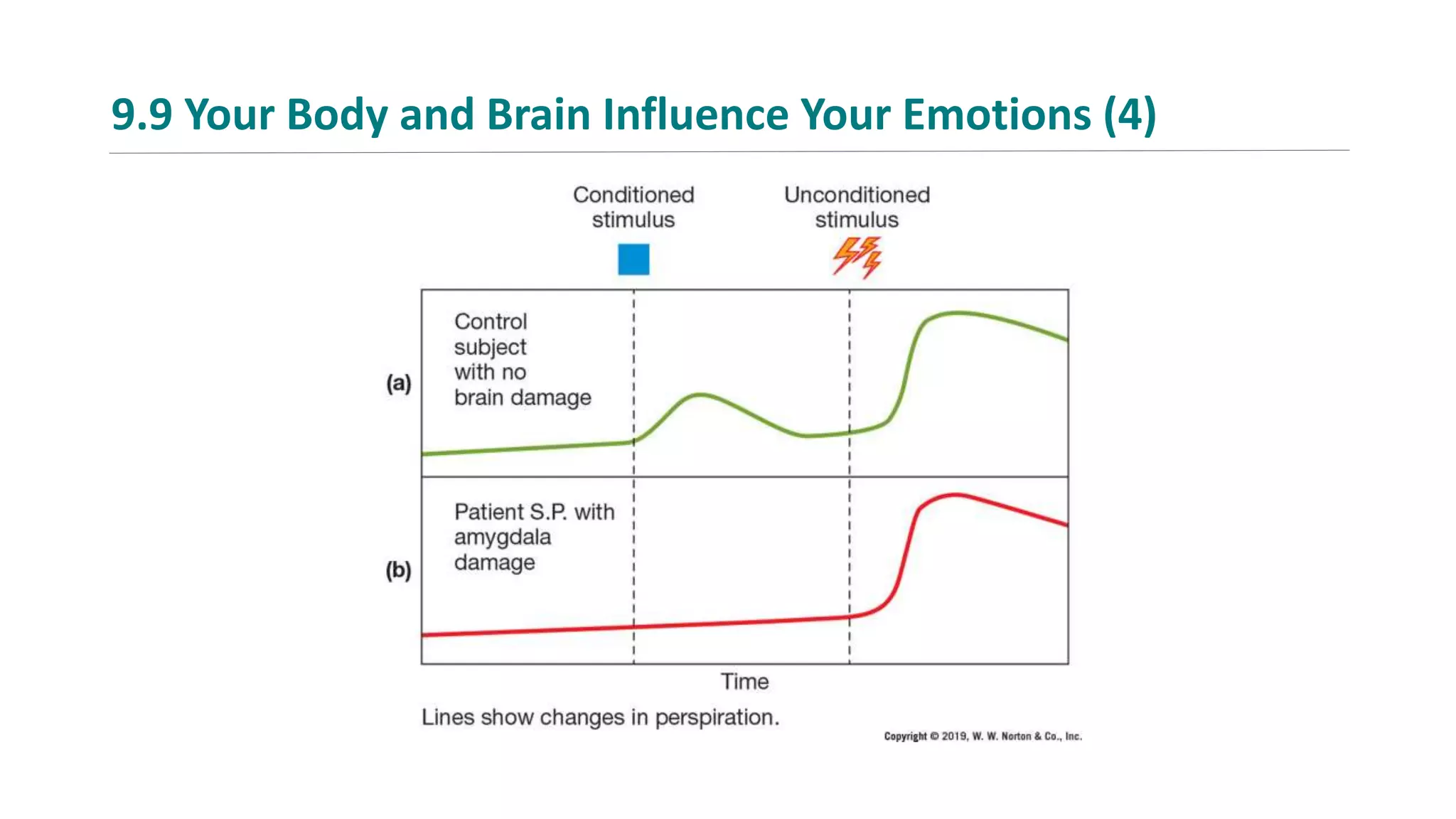 Motivation and Emotions | PPT