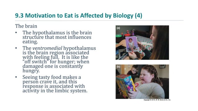 Motivation and Emotions | PPT