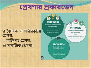 MOTIVATION BENGALI.pptx