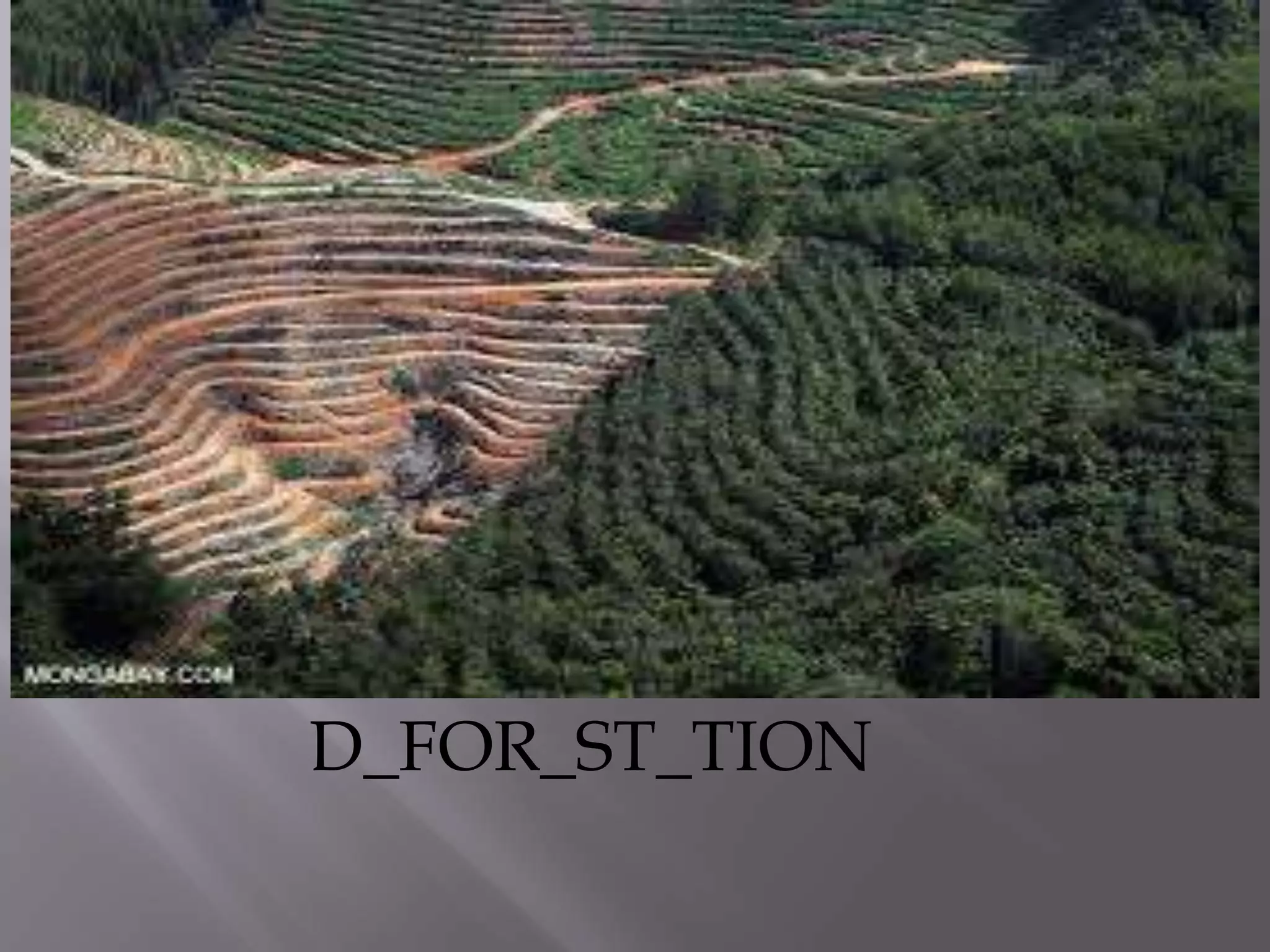 MOTIVATION CO2 1.pptx