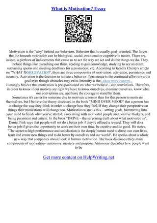 Motivation Essays Examples | PDF