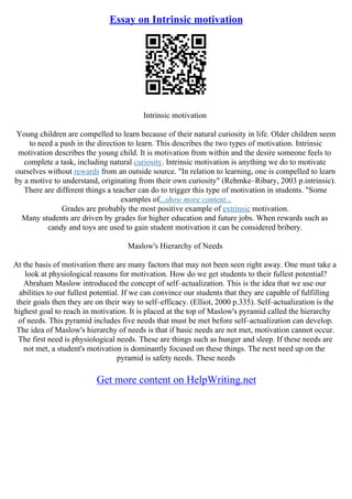 Motivation Essays Examples | PDF