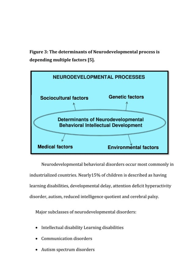 NEURO DEVELOPMETAL DISORDERS IN CHILDREN | PDF