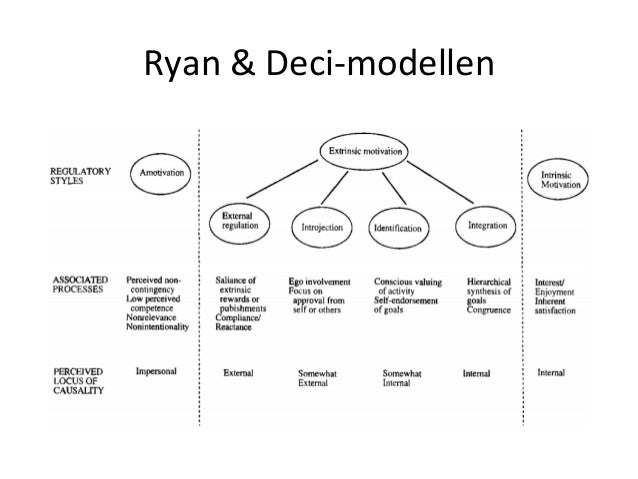 Ryan og Decis forståelse af motivation