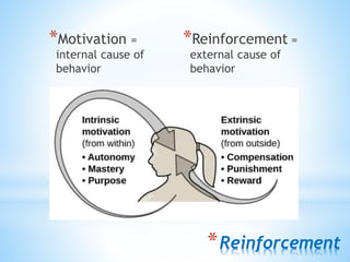 Motivation process theories | PPTX