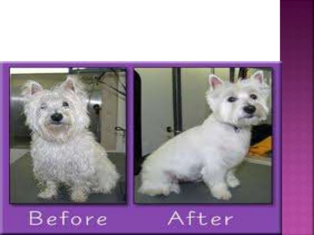 Motivation session | PPT