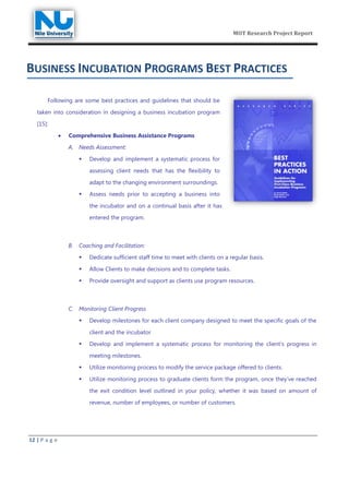 Business Incubation System (Mot masters research project report ) | PDF