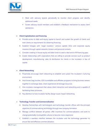 Business Incubation System (Mot masters research project report ) | PDF