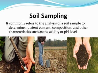 soil sampling | PPTX