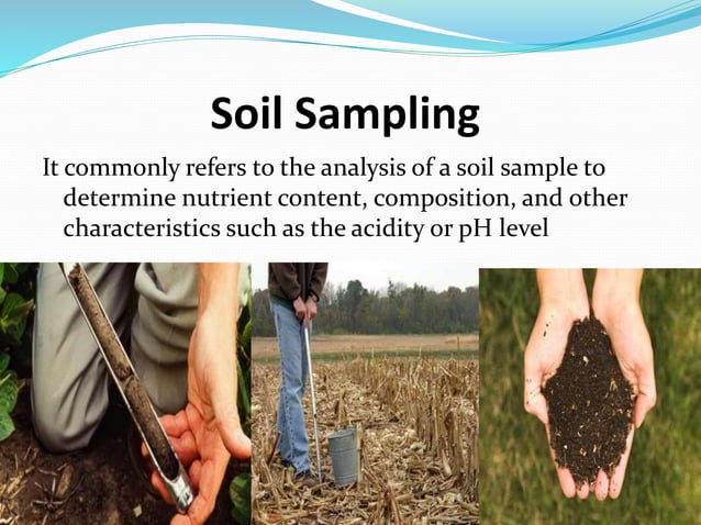 soil sampling | PPTX | Agriculture | Industries