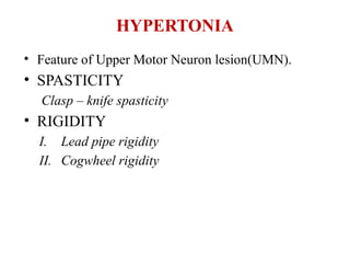 motor system and clinical examination of the same | PPTX