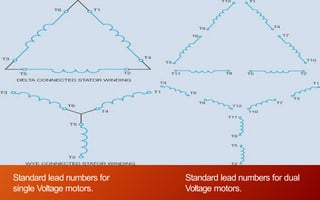 Motor-control-complete23 2.pptx