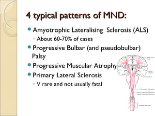 Motor neurone disease pathogenesis and therapeutic potential | PPT ...