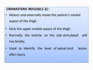 MOTOR SYSTEM , ASSESSING HEALTH ASSESSMENT | PDF | Death, Injury, or ...