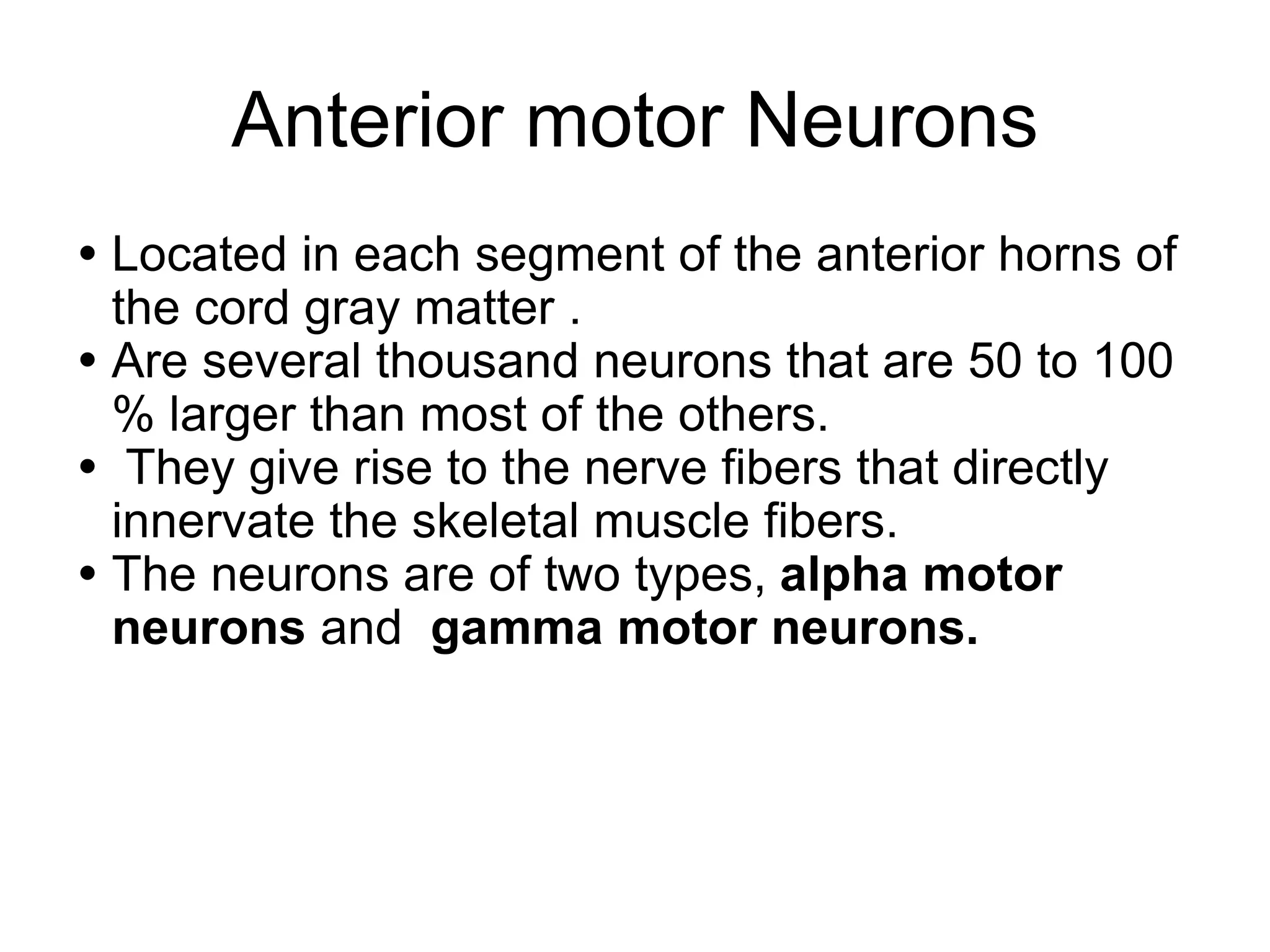 General Physiology - Motor Functions of the Spinal Cord; the Cord ...