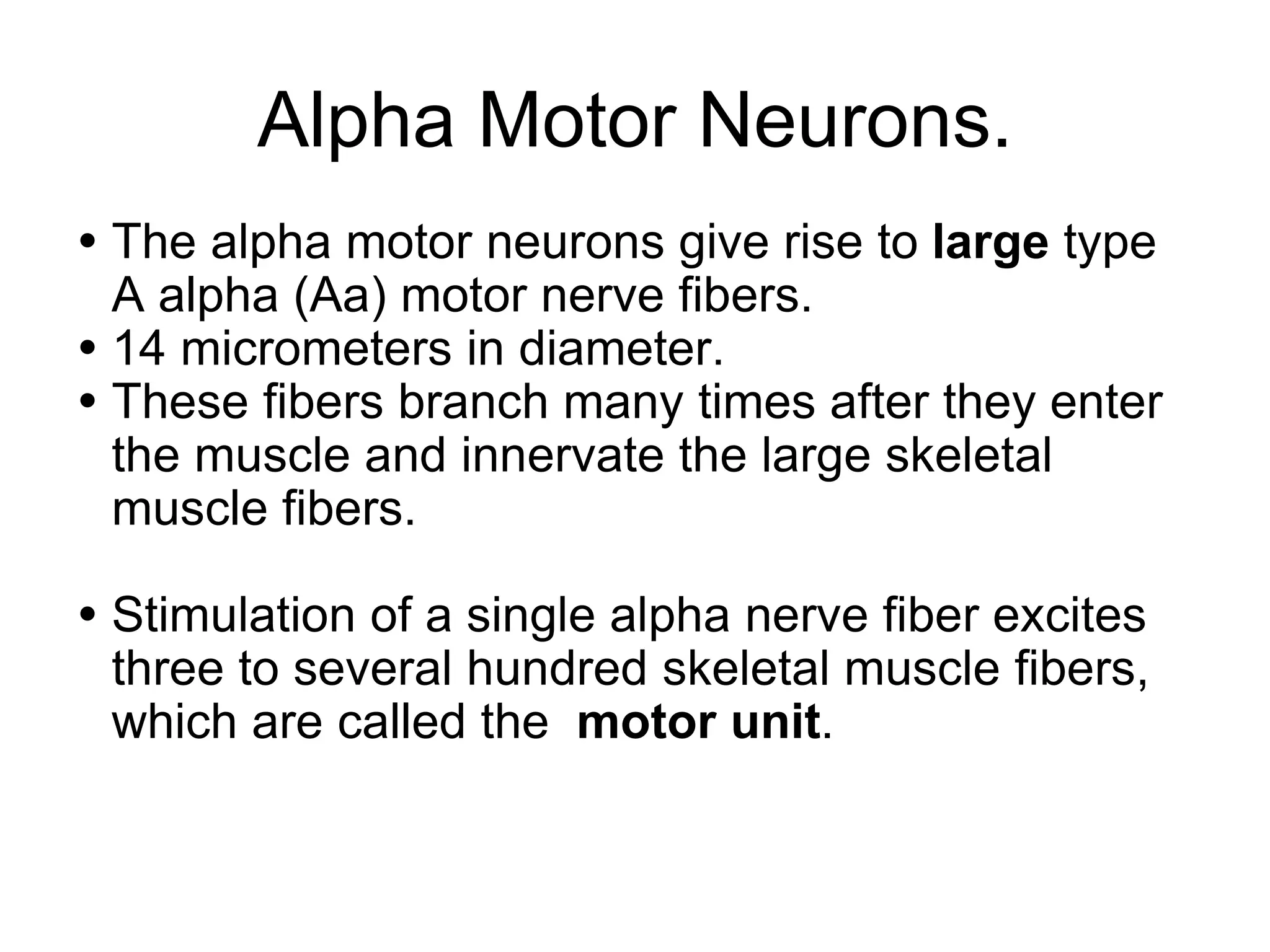 General Physiology - Motor Functions of the Spinal Cord; the Cord ...