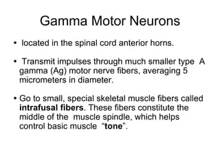 General Physiology - Motor Functions of the Spinal Cord; the Cord ...