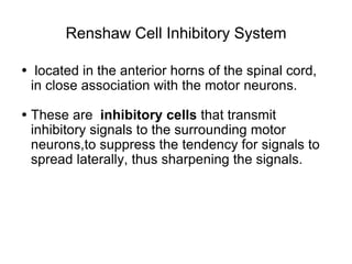 General Physiology - Motor Functions of the Spinal Cord; the Cord ...