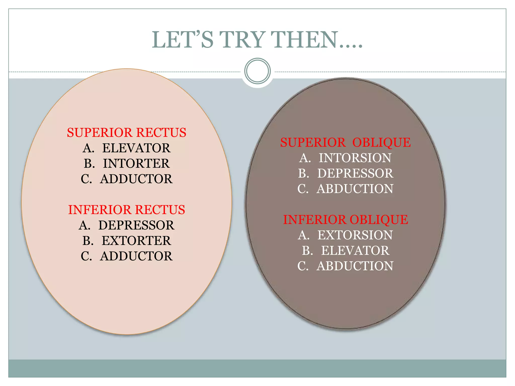 Motor adaptation in paretic and nonparetic strabismus | PPTX