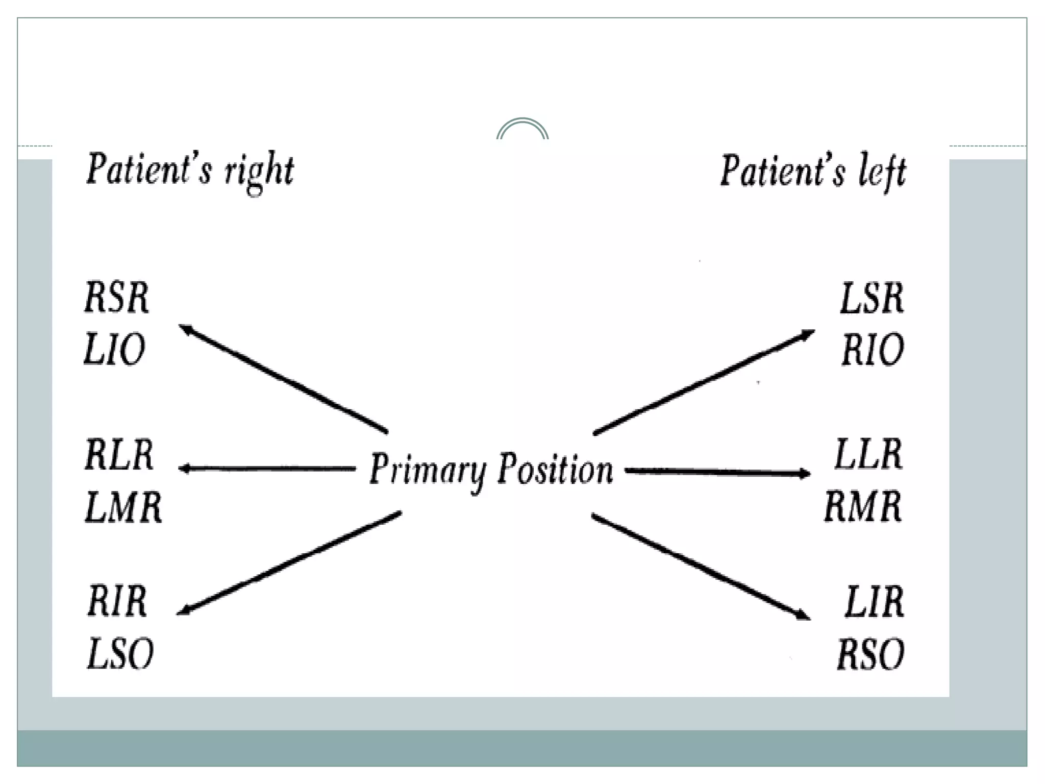 Motor adaptation in paretic and nonparetic strabismus | PPTX