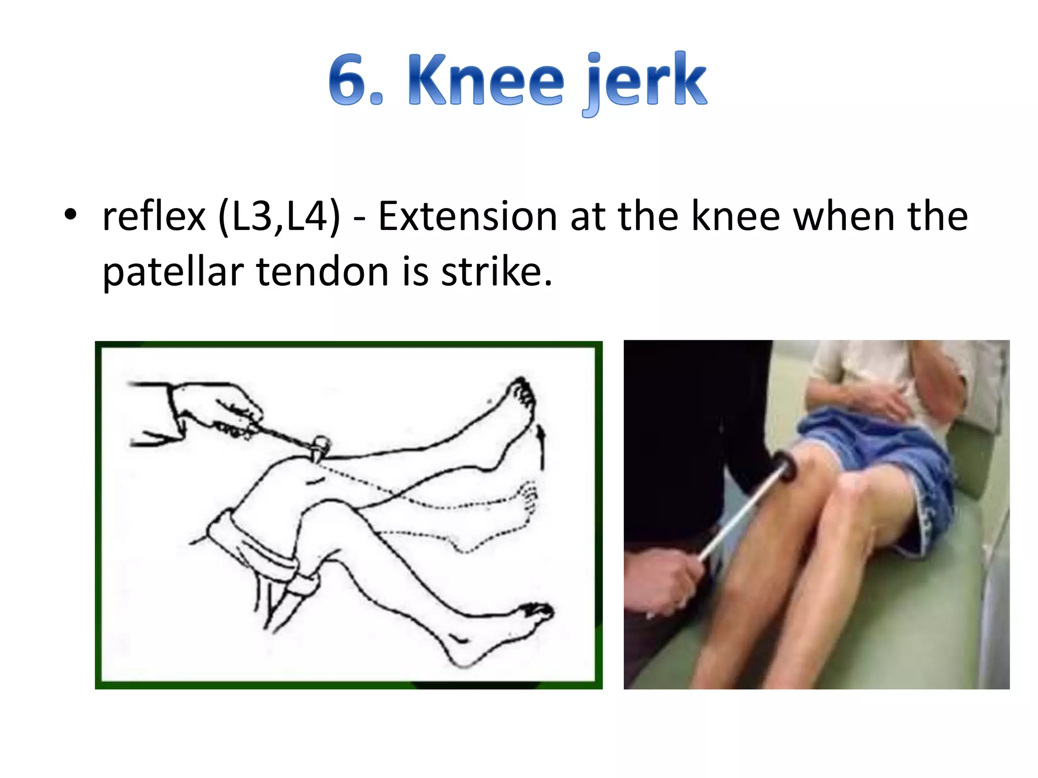 Motor and sensory examination, Examination of reflexes | PPTX