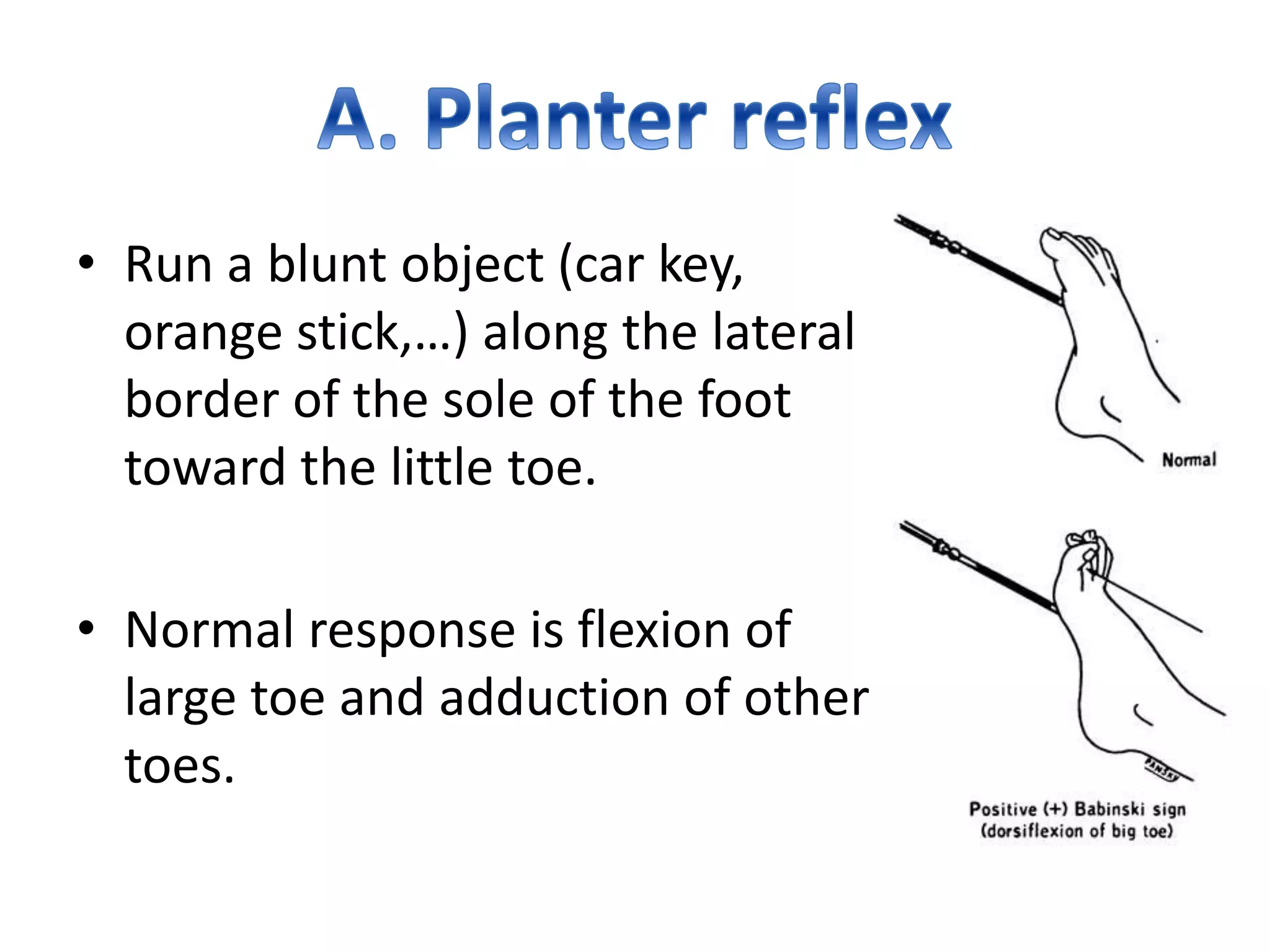 Motor and sensory examination, Examination of reflexes | PPTX