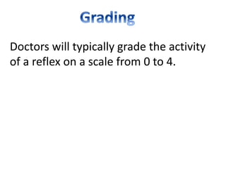 Motor and sensory examination, Examination of reflexes | PPTX