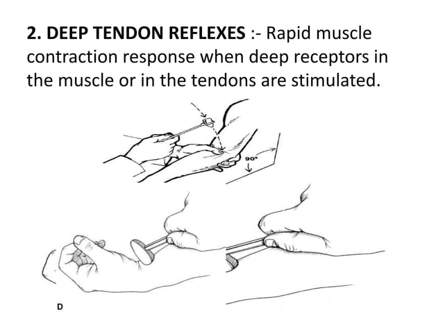 Motor and sensory examination, Examination of reflexes | PPTX | Death ...