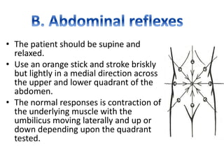 Abdominal Reflex