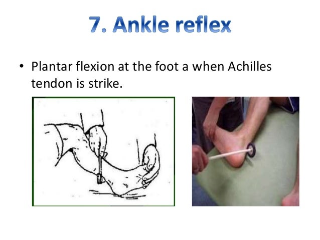Motor and sensory examination, Examination of reflexes