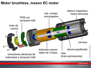 Motor brushless maxonmotor | PDF