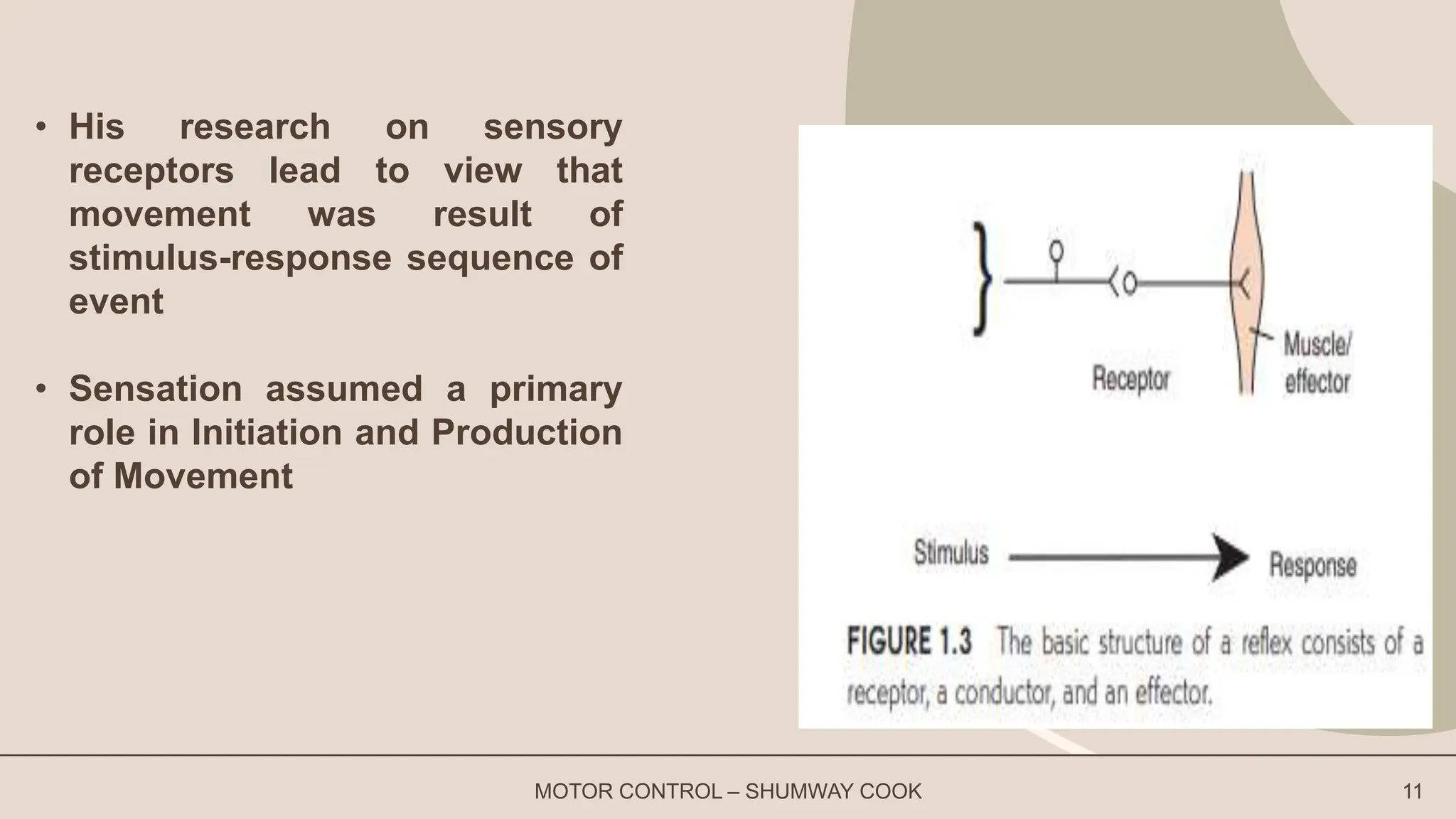 Motor Control and Learning Theories.pptx
