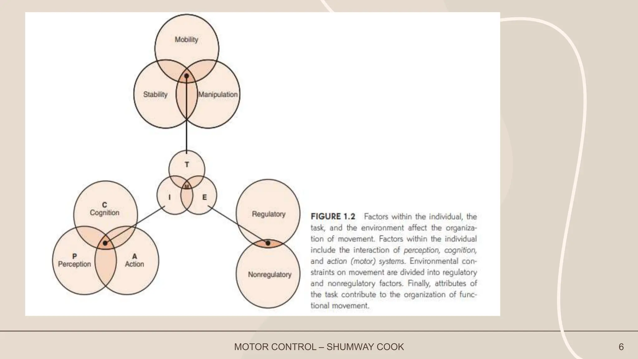 Motor Control and Learning Theories.pptx