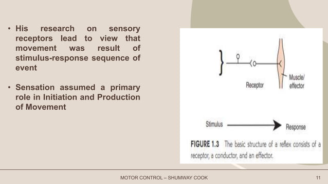 Motor Control and Learning Theories.pptx | Physical Therapy | Wellness