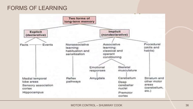 Motor Control and Learning Theories.pptx | Physical Therapy | Wellness