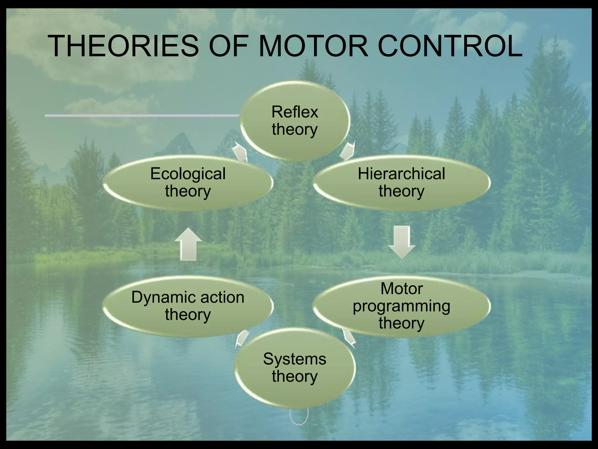Motor control and plasticity in psychology | PPTX