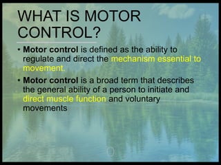 Motor control and plasticity in psychology | PPTX | Brain and Nervous ...