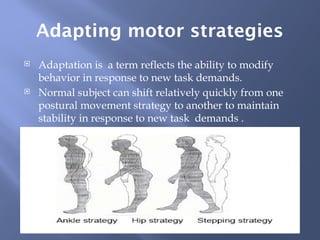 Motor control for physical therapy ppt.pptx