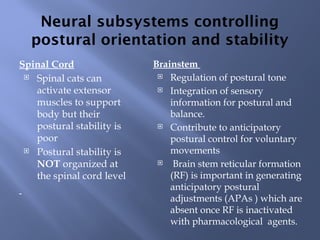 Motor control for physical therapy ppt.pptx