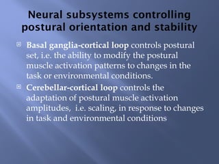 Motor control for physical therapy ppt.pptx