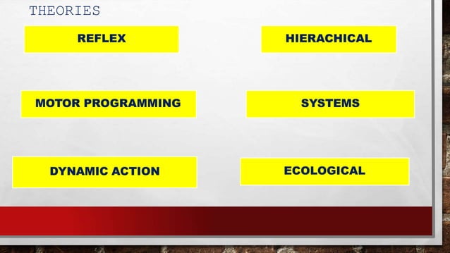 motor control theoriess.pptx