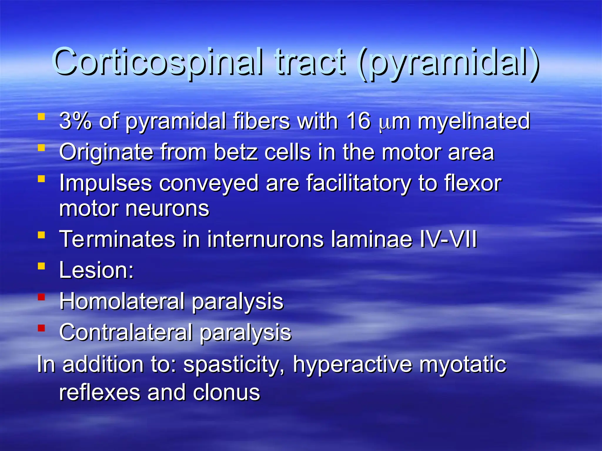 motor_cortex.ppt anatomy and working mechanism | PPT