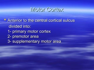 motor_cortex.ppt anatomy and working mechanism | PPT