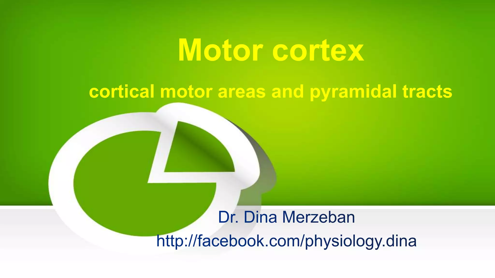 Motor cortex areas and physiology of stroke | PPTX
